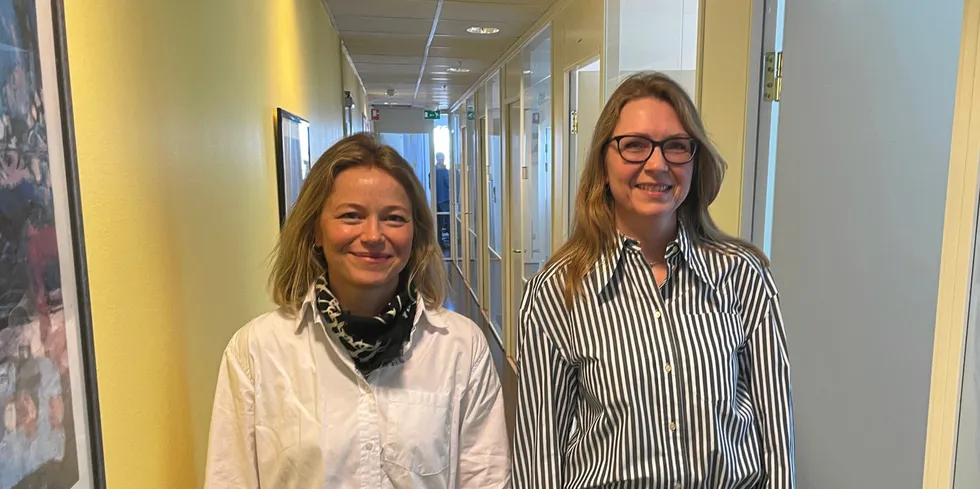 Ansettelser og intern opplæring – Skatteetaten rigger seg for ...