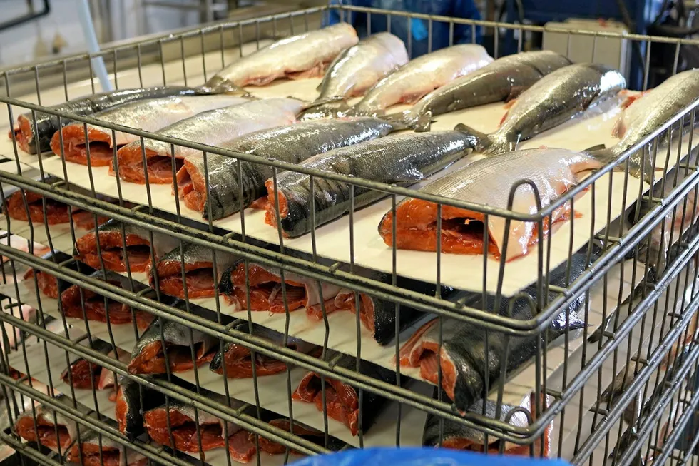 'I've never seen a situation like this': Alaska sockeye salmon prices ...