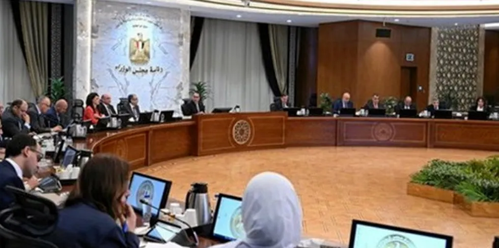 Egypt strikes $41bn of deals to turn Suez economic zone into global green energy hub | Recharge