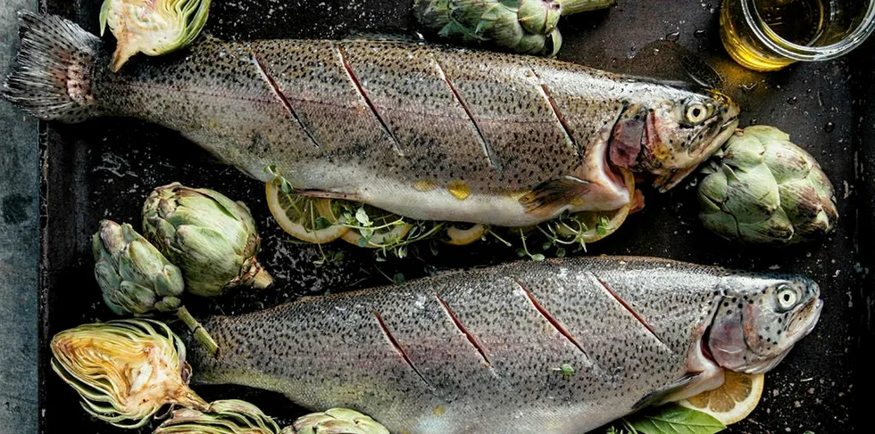 Land-based farmer Riverence working to raise the reputation of trout ...