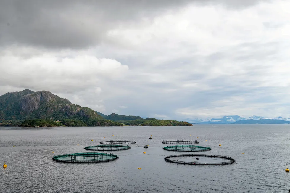 Risk management inspection finds deviations at SalMar's salmon farms ...