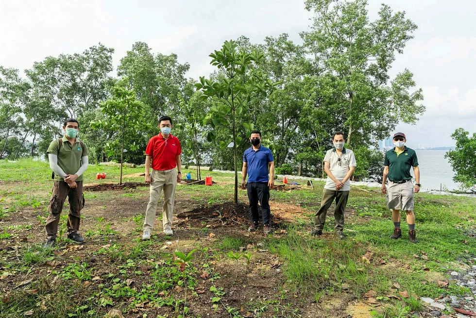 Keppel shows its green fingers in tree-planting drive | Upstream