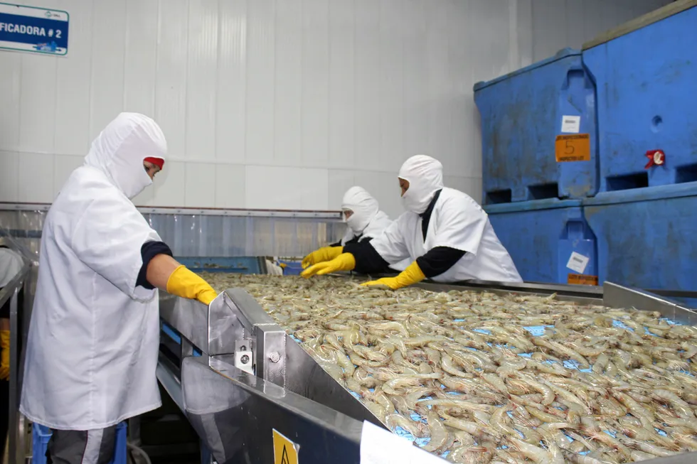 China lifts suspensions on shrimp exports from nine Ecuador plants ...