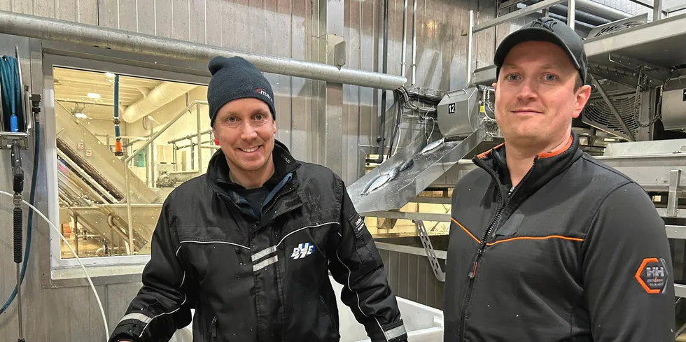 Ny drift i pelagisk anlegg på Sommarøy: – Vi tar det forsiktig i ...