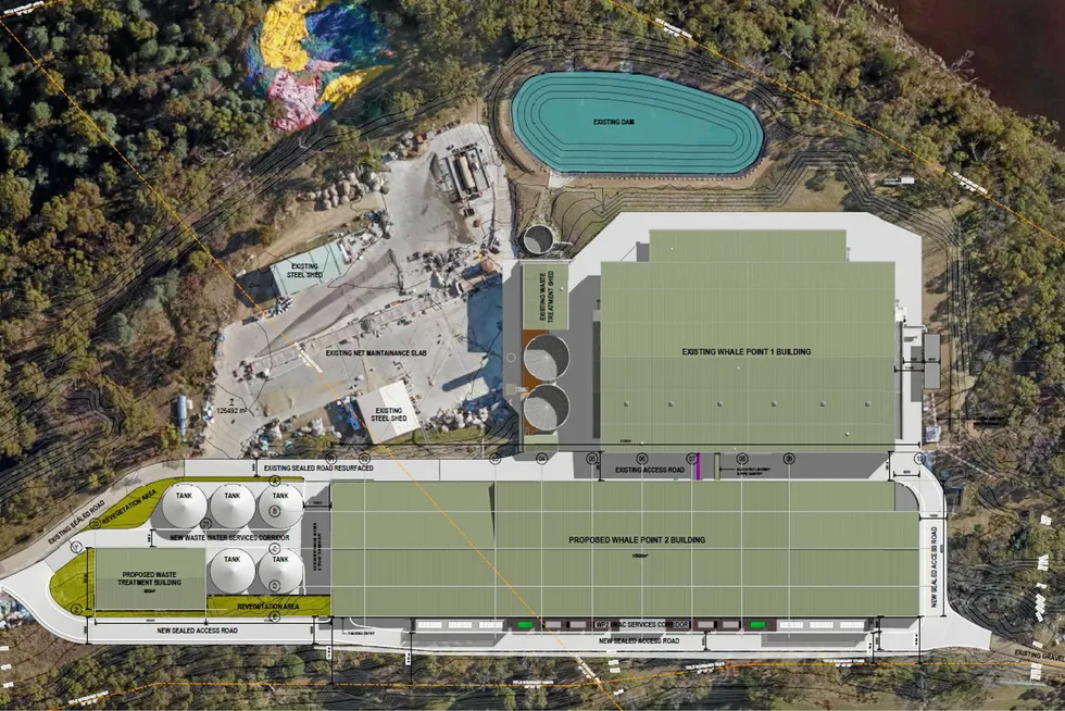 Australian salmon farmer to build $73 million RAS facility | Intrafish