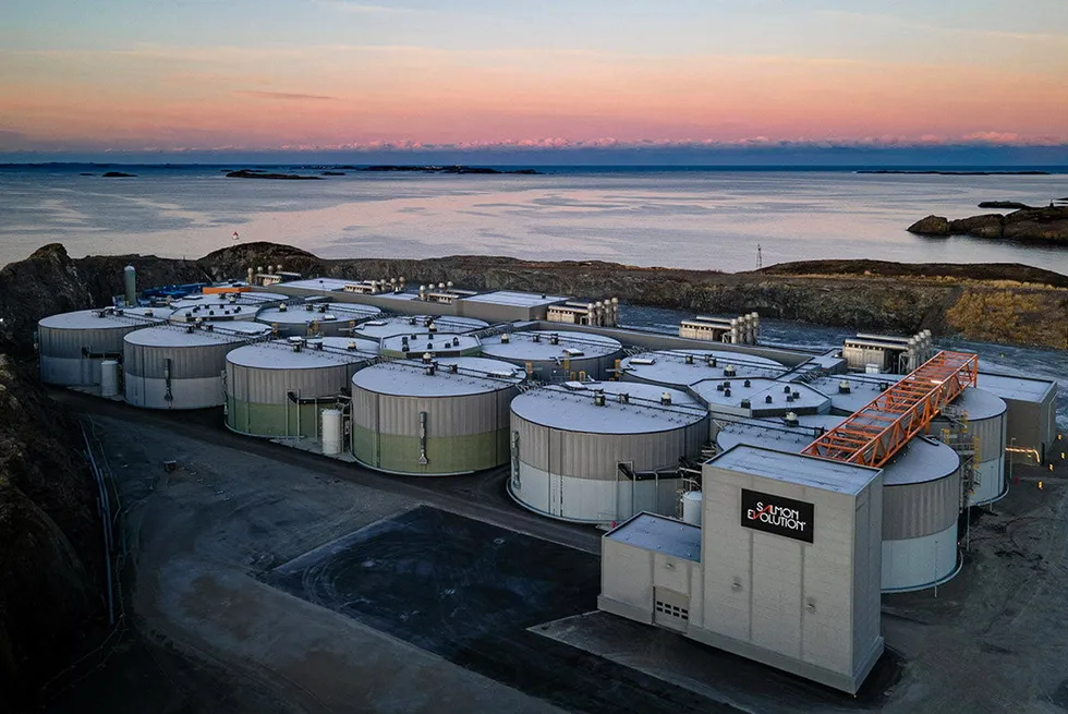 Rabobank: Hybrid flow-through a 'game changer' for salmon farming ...