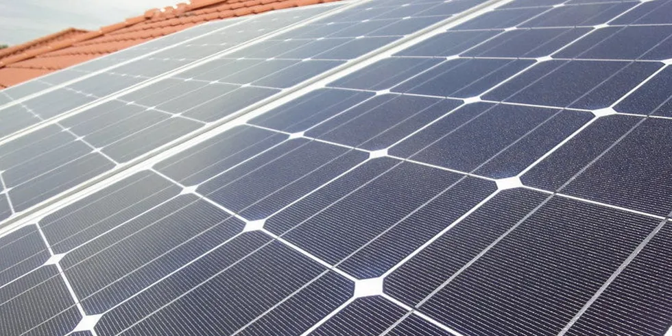 In the shade | Why US onshore wind is losing power-deal ground to solar ...