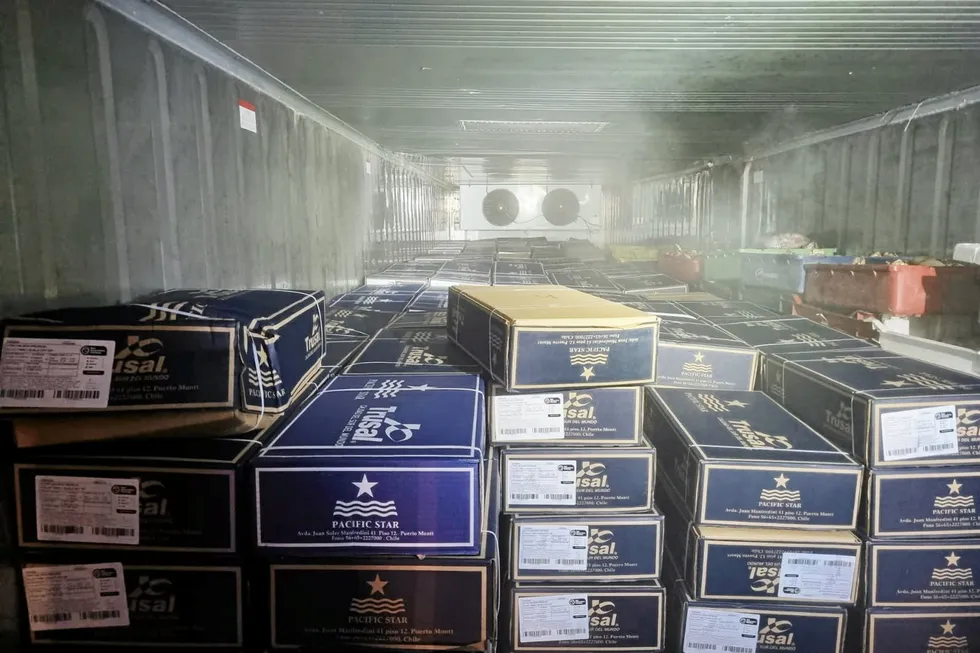 Chile police sting nets $600,000 of stolen salmon | Intrafish