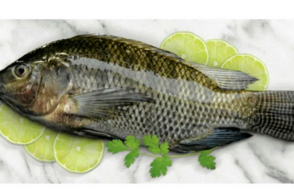 Regal Springs tilapia gains BAP four-star certification | Intrafish
