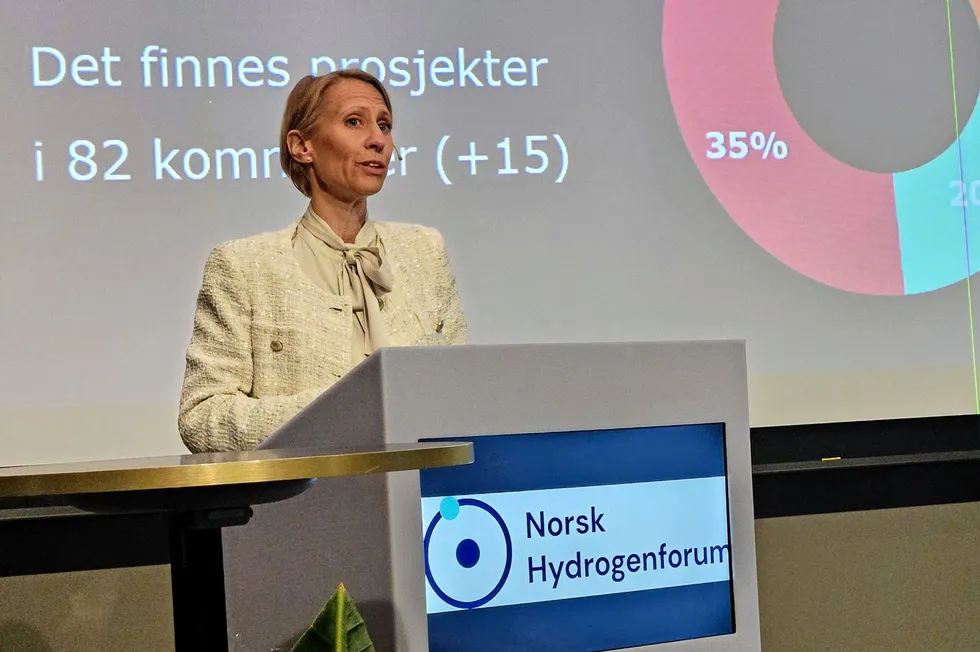 Hydrogenprodusentene skaper kø i nettet – dette må til for at de skal bruke den reserverte ...