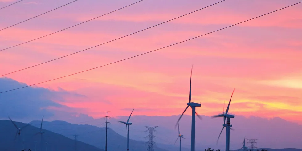 How did wind and solar prices get so low in Mexico? | Recharge