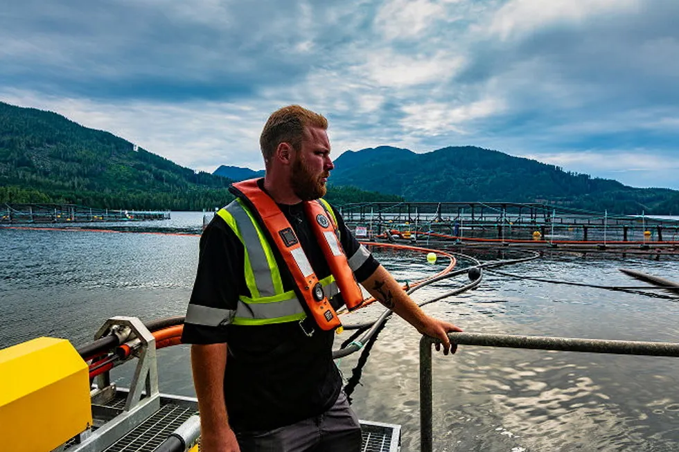 Grieg Seafood's Canada salmon farming operations boosted by stronger ...