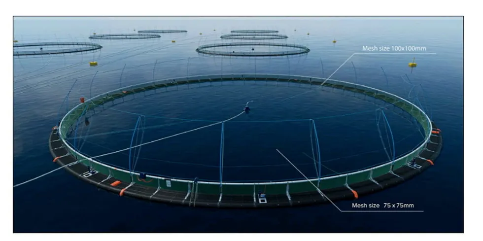 Scottish Sea Farms gets approval for offshore salmon farm | Intrafish