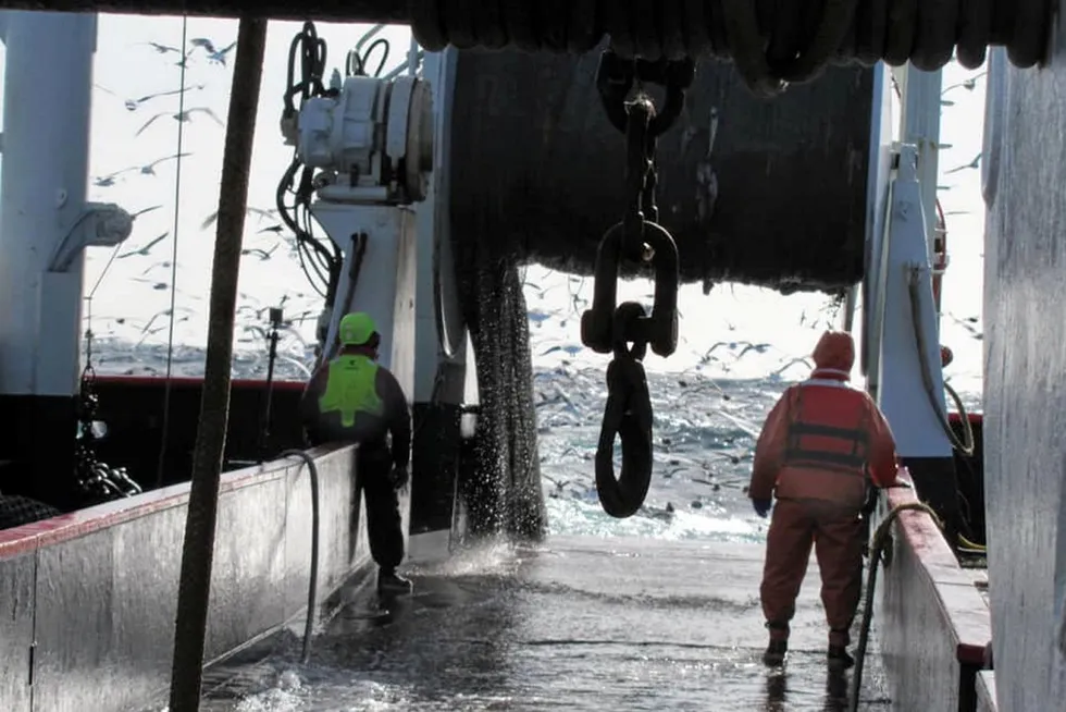 While Alaska pollock block prices fall, premium for US fast-food chains ...