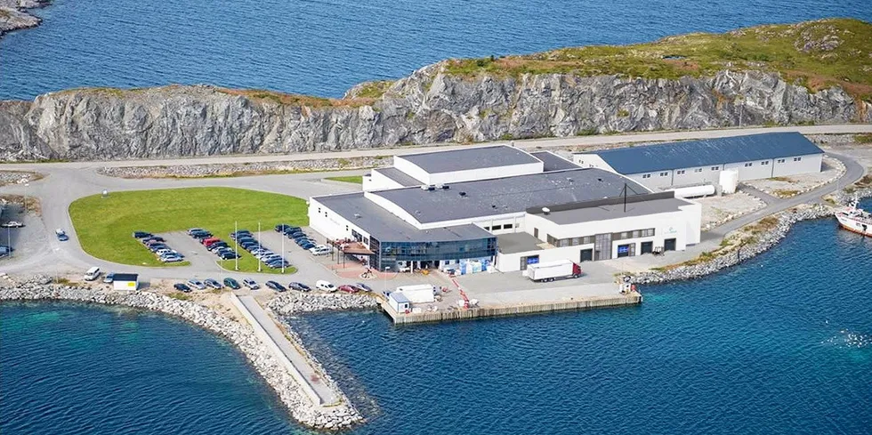 Europe's largest crab supplier to build first-of-its-kind shellfish ...