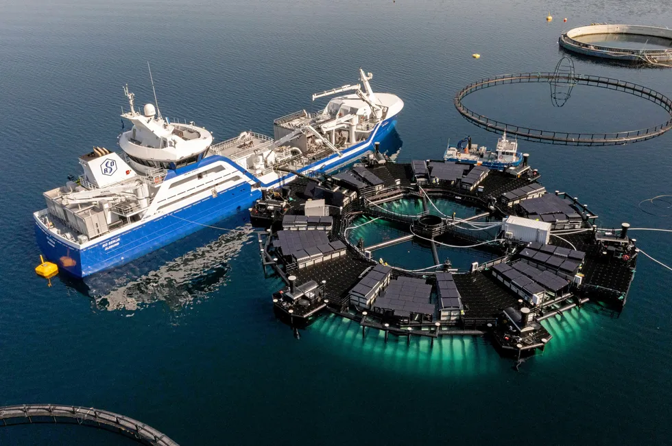 SalMar-operated 'Marine Donut' shows low salmon mortality in test ...