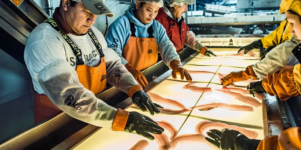 Alaska pollock deep-skin production ramps up as producers scramble to ...