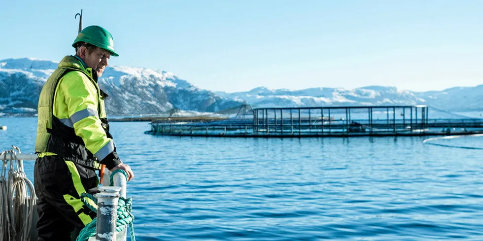 Mowi Canada salmon hatchery expansion plan heads back to minister for ...