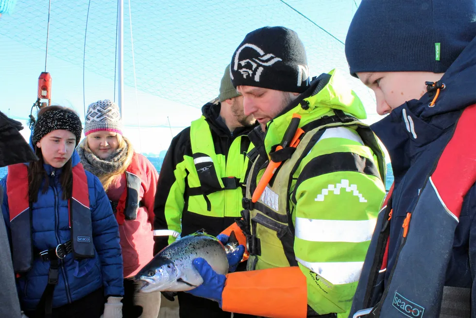 Norway's Kvaroy, Seloy first salmon farmers exempt from manual sea lice ...