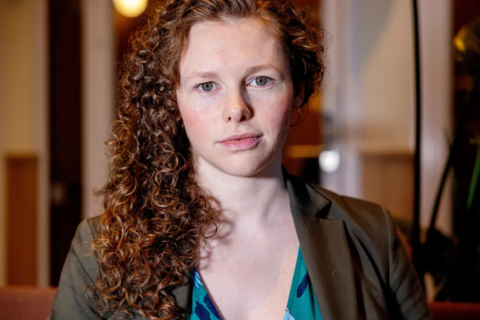 Nestleder i Miljøpartiet De Grønne vil fjerne formuesskatten | DN