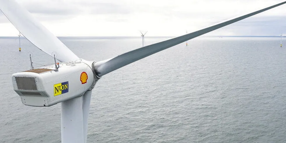 Shell could join Brazil's power giant Eletrobras for offshore wind push ...