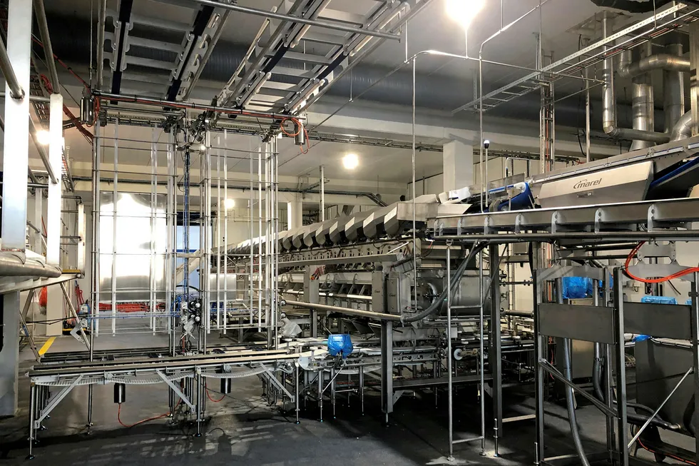 Hofseth rebuilds processing facility, expects to double production ...