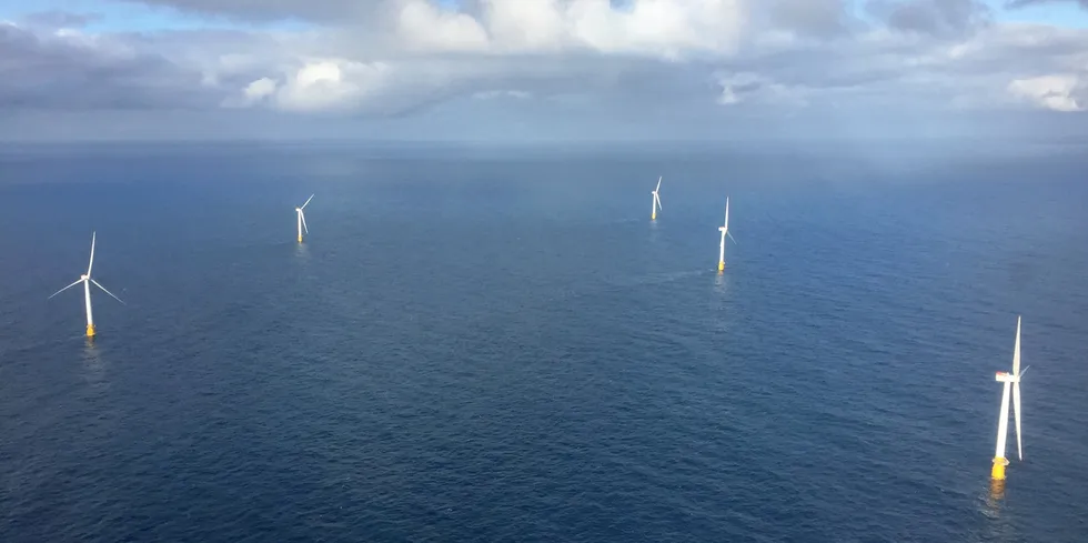 Mainstream, Ocean Winds and ESB land bids to build floating wind giants ...