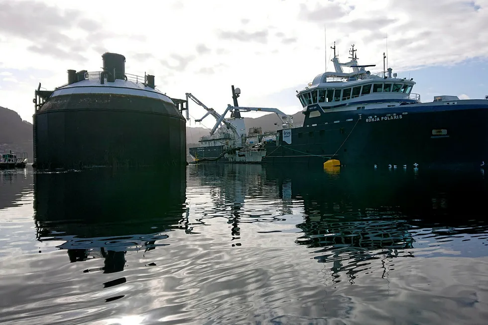 New fish farming 'globe' delivers first salmon smolts to Grieg Seafood ...