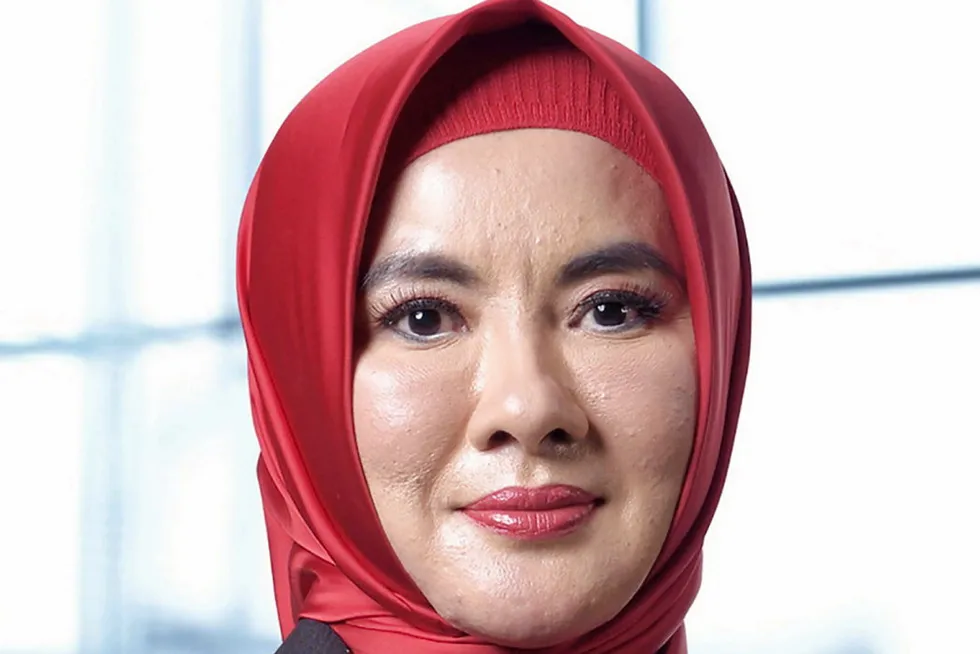 Pertamina moves to exploit offshore gas condensate discovery | Upstream