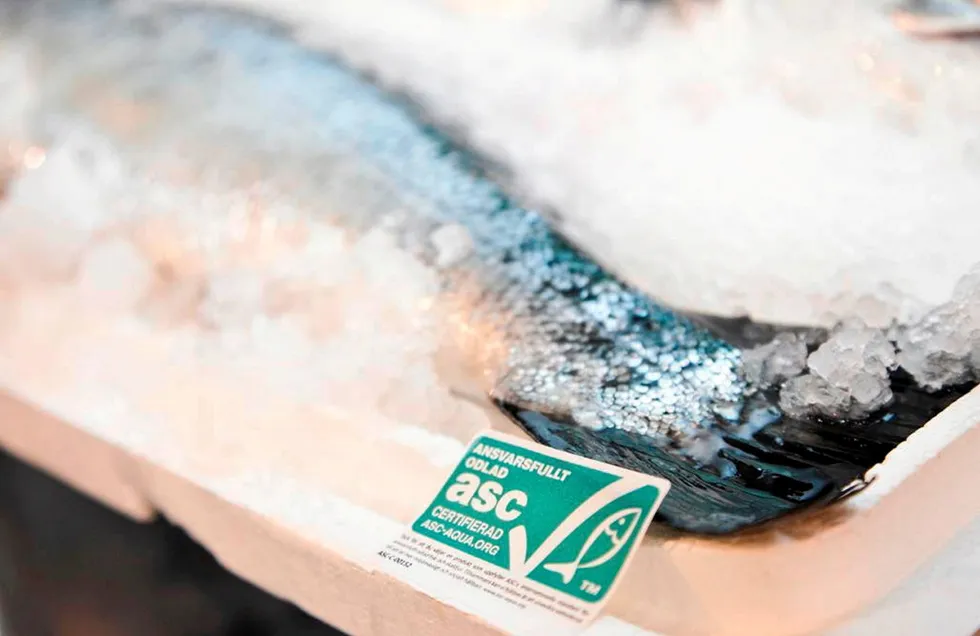 Rival seafood certification labels make unprecedented spend in battle ...