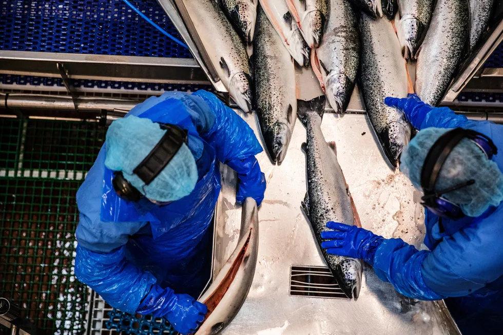 Krone og produktivitet skaper vansker for norsk økonomi | DN