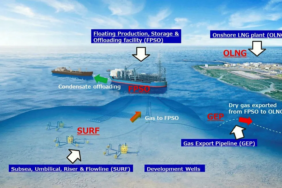 Inpex speeds up metocean study for Abadi LNG scheme off Indonesia | Upstream