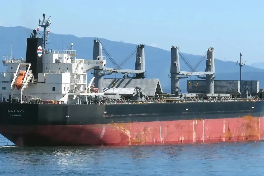 Mining magnate grows shipowning fleet with secondhand deal on back of ...