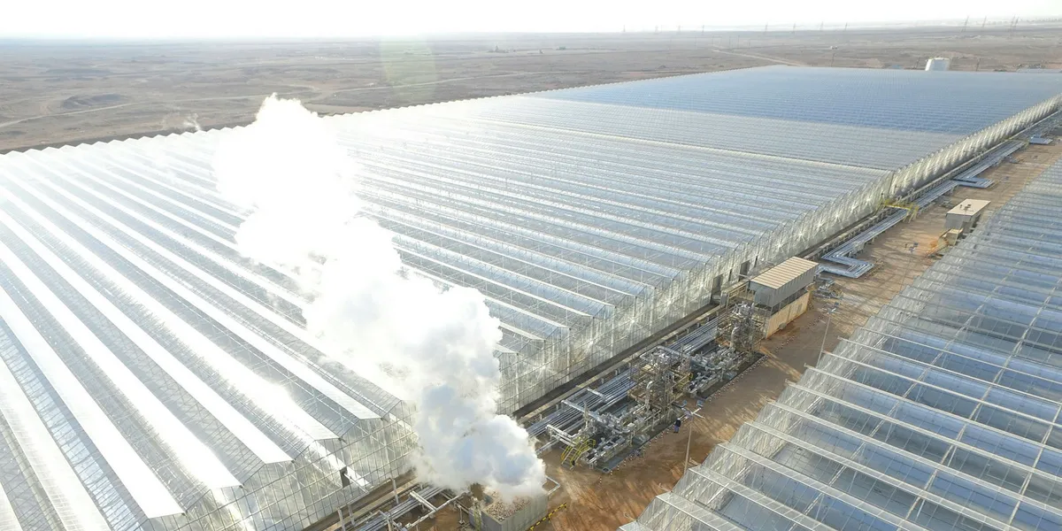 Oman solar project shines as cleaner way to boost oil recovery | Upstream