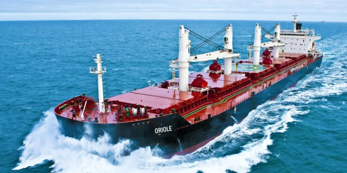 Star Bulk and Niriis Shipping lead wave of Greek bulker sales to China