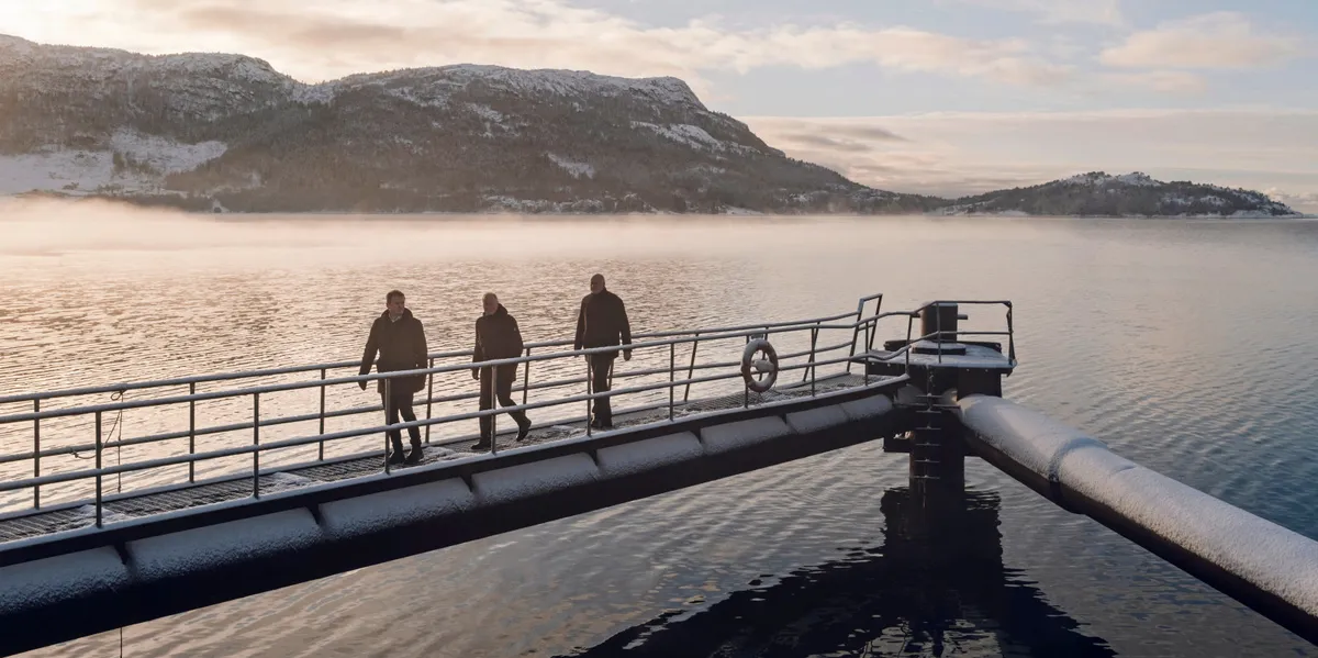 Ecofisk inngår femårsavtale på rogn med Benchmark
