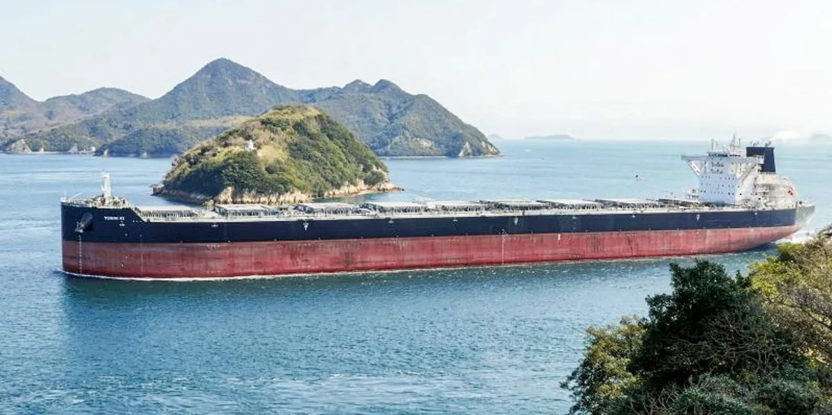 One for the history books: Capesize spot rates make biggest daily leap ...