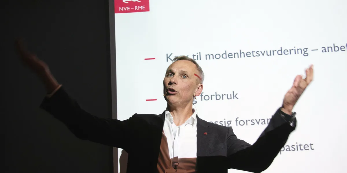 Norgespris: De minste nettselskapene vant over de store – RME går for Elhub