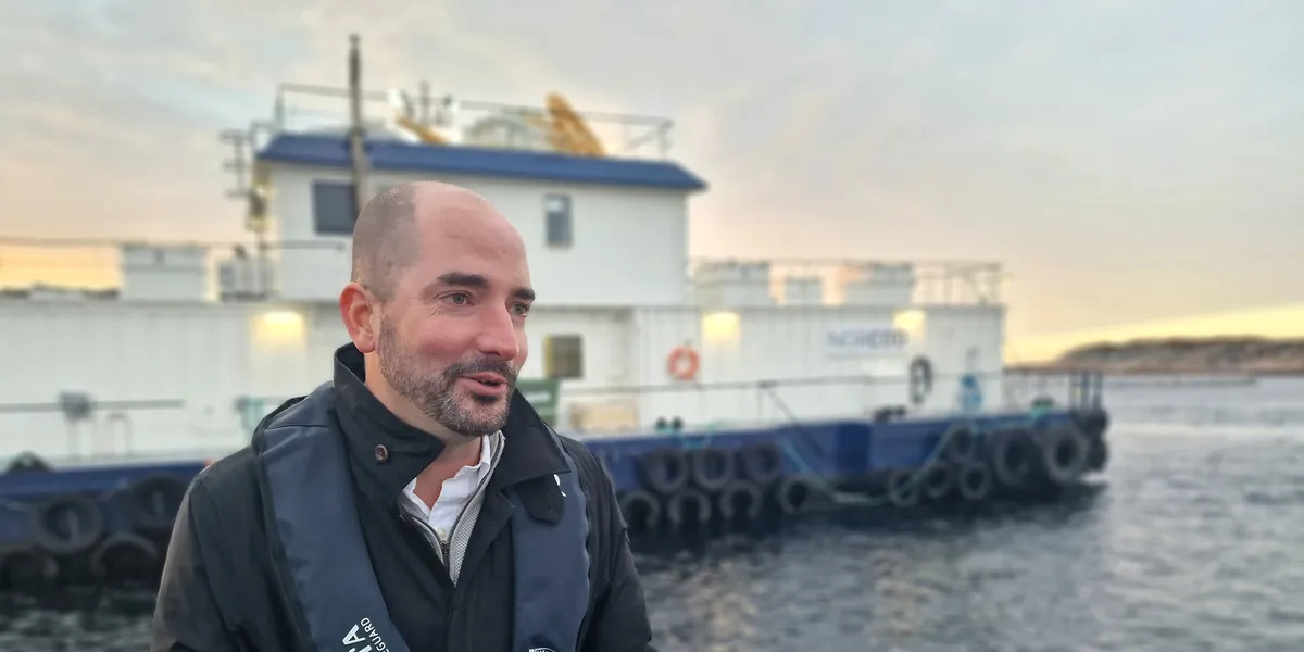 Losses narrow at Norwegian cod farmer | Intrafish