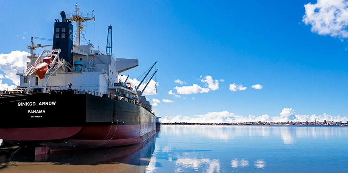 Japanese giant MOL to take over $1bn Gearbulk fleet from founding ...