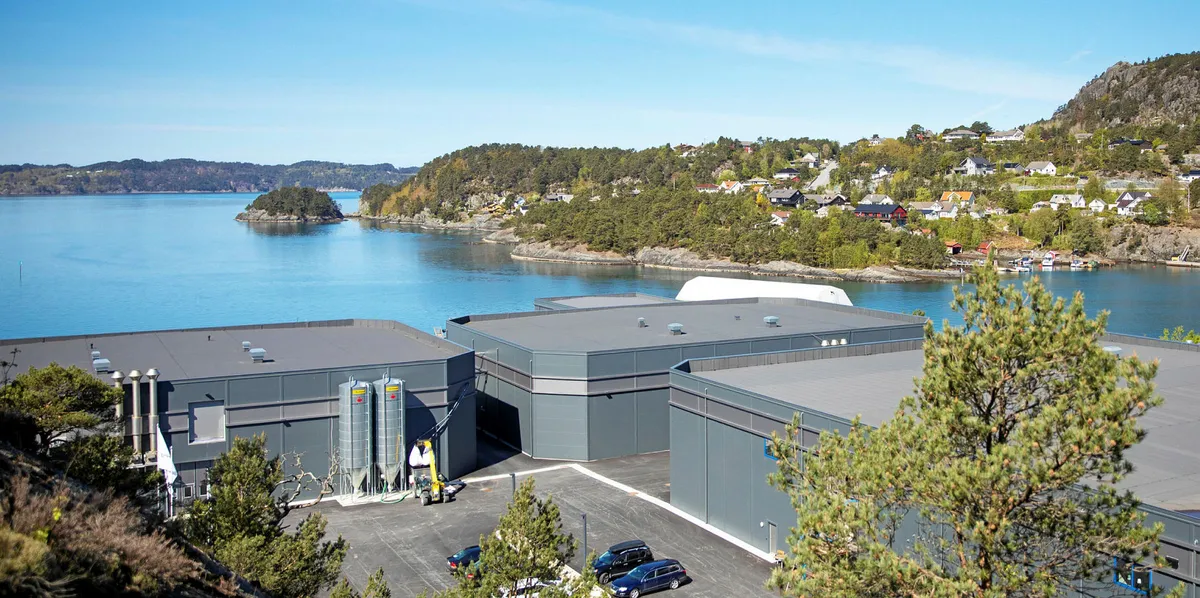 Nofitech kjøper Aqua Innovasjon | Fiskeribladet