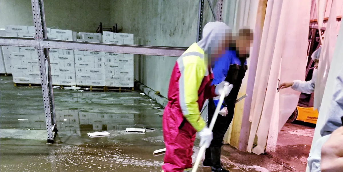 No money, no food, no way home: Migrant workers at salmon factory 'sat ...