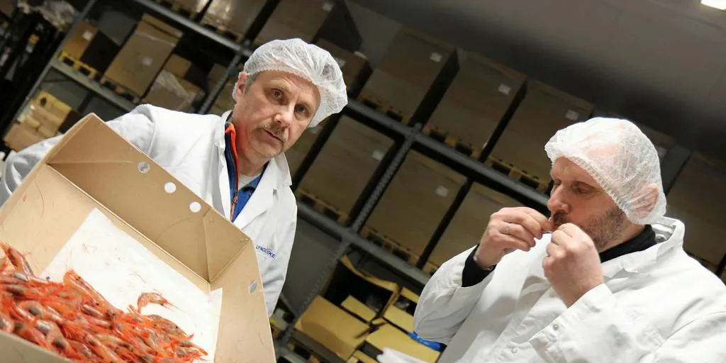 Verdens beste restaurant vil ha rå Lyngen-reker | Fiskeribladet