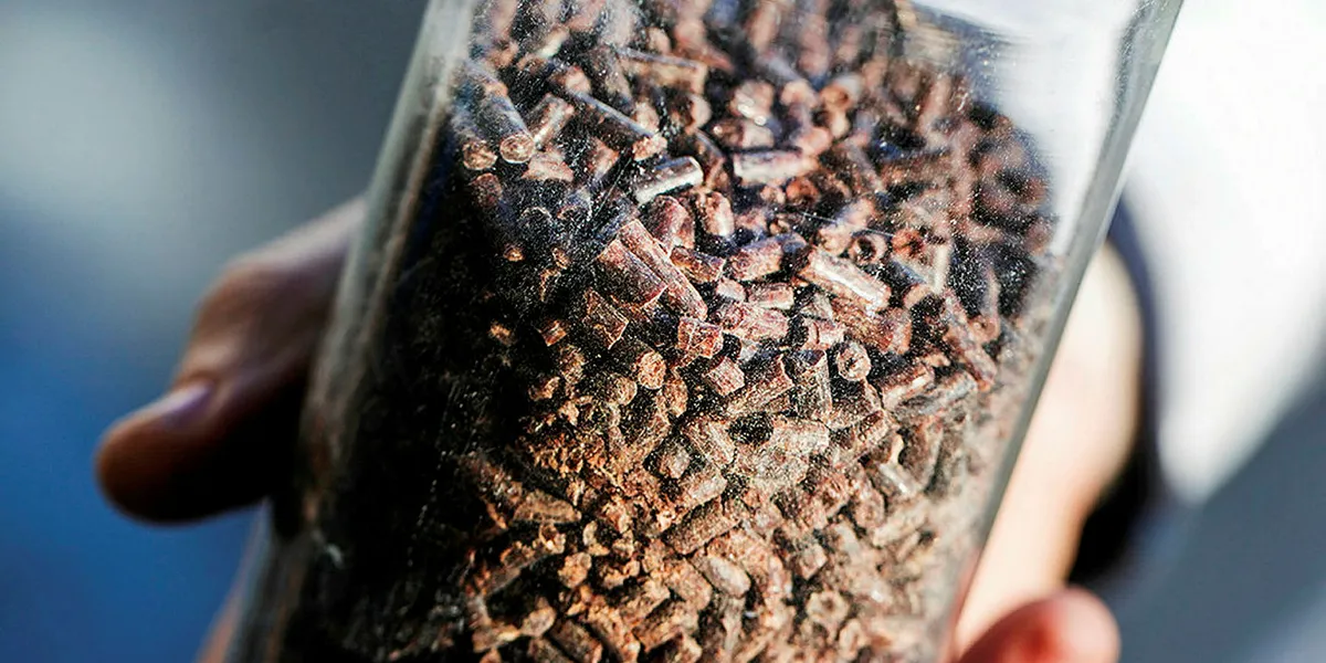 Calysta shows off shrimp fed on natural gas protein | Intrafish