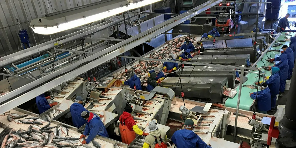 Silver Bay opening new Alaska processing plant | Intrafish