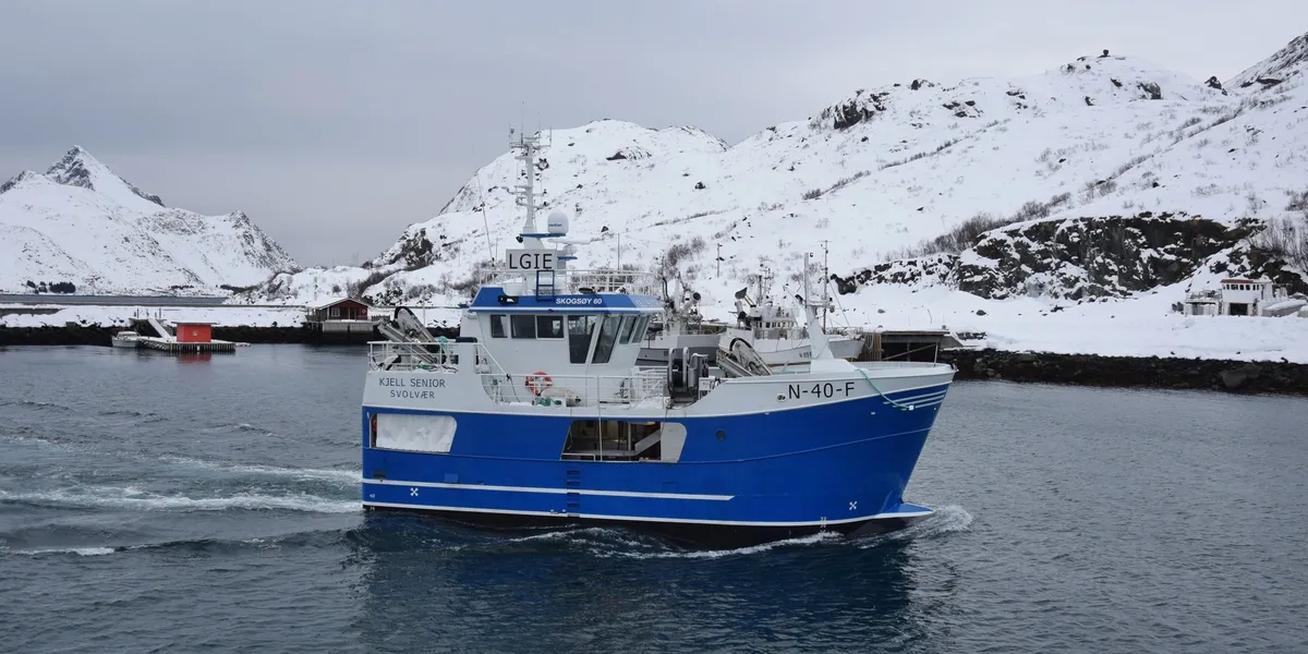 Endelig fart i lofotfisket: – Minner nesten om gode gamle dager | Fiskeribladet