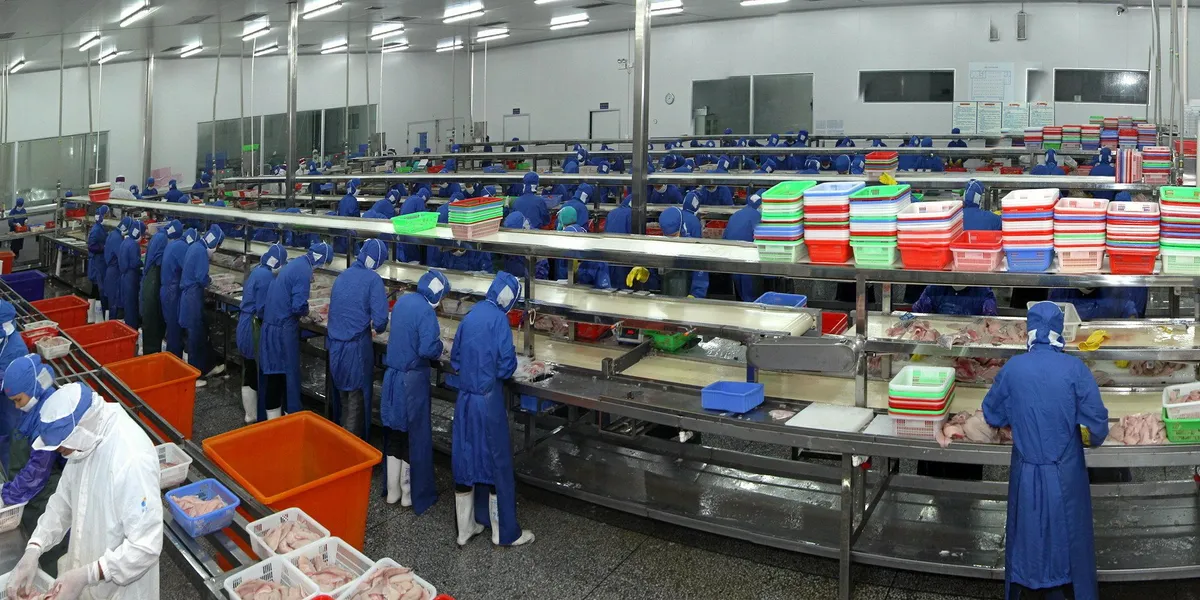 Improved export markets and lower costs set to reduce losses for ...