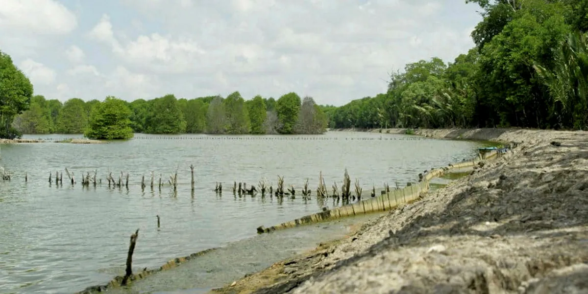 Indonesian black tiger farm wins BAP stamp | Intrafish