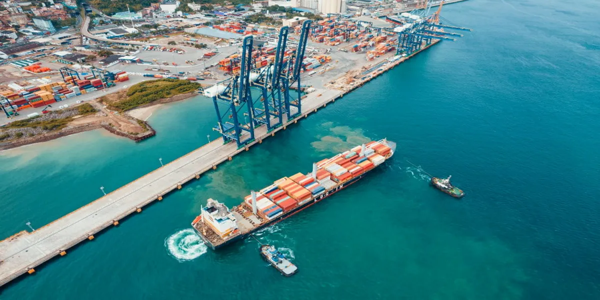 MSC-controlled Log-In sinks to a loss despite best fourth-quarter revenue