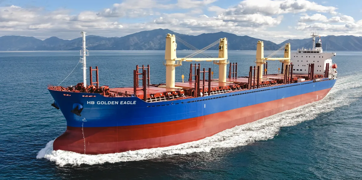 TMI expects modest bulker demand growth as Red Sea return adds to ship ...